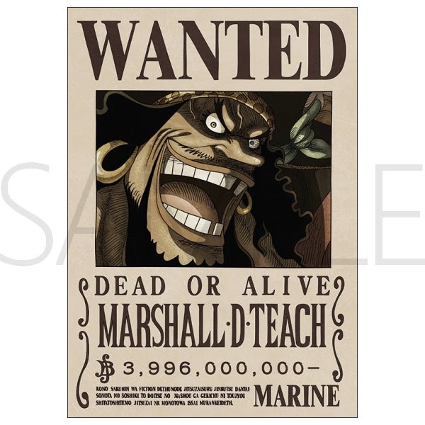 New Official Licensed One Piece Wanted Bounty Posters at Japan’s Mugiw ...